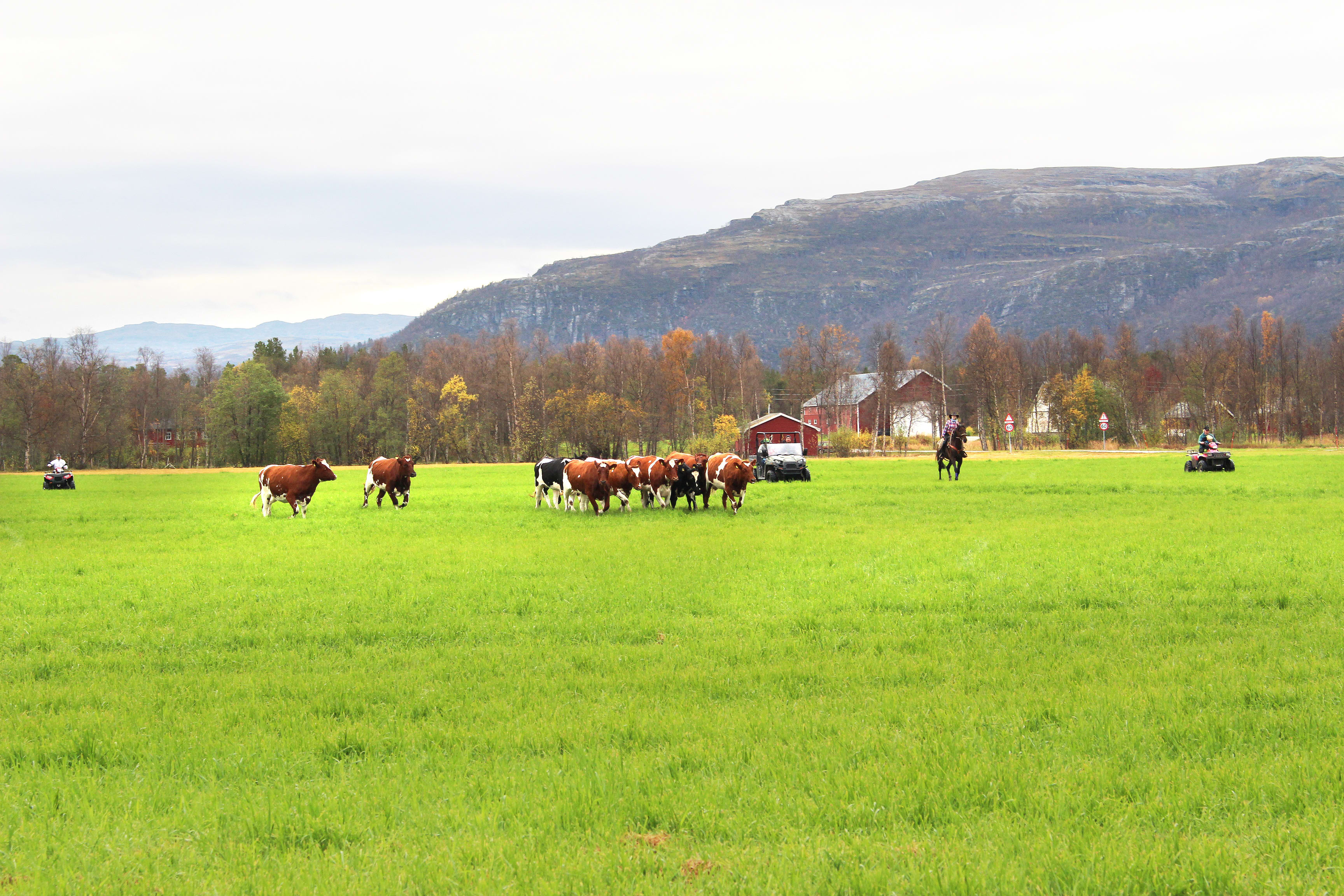 Vill vest på Tangen - altaposten.no