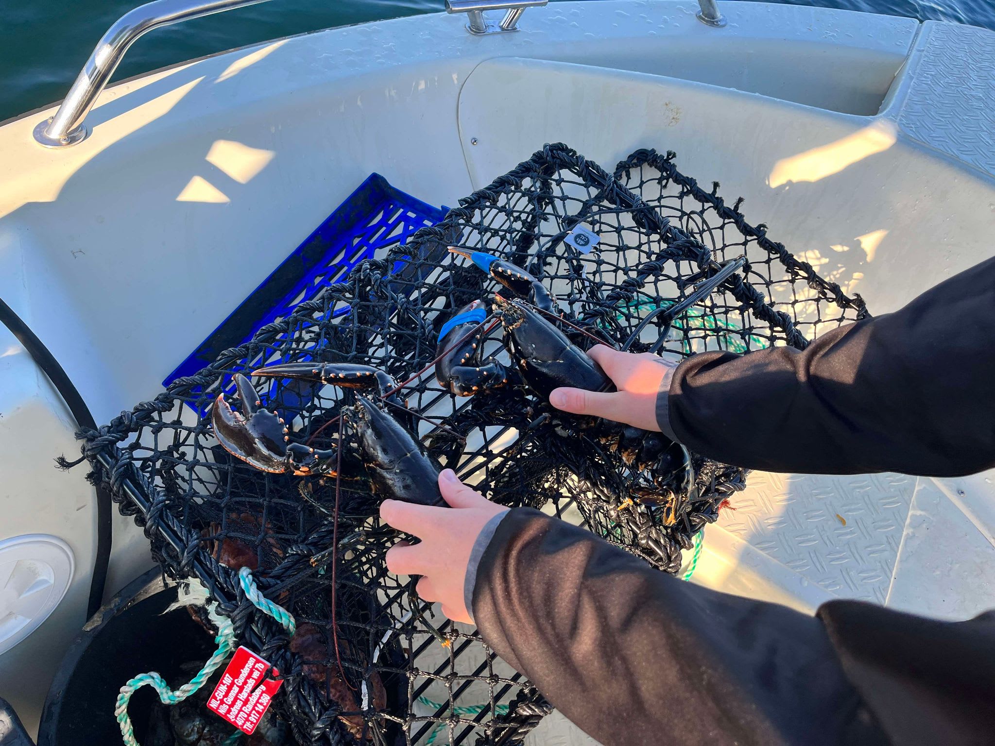 Nils Gunnar er like mye kamerat som bestefar for Magnus - randaberg24.no