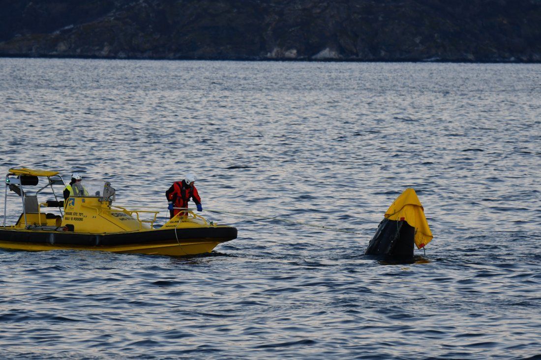 Knølkval frigjort fra drivanker - kystogfjord.no