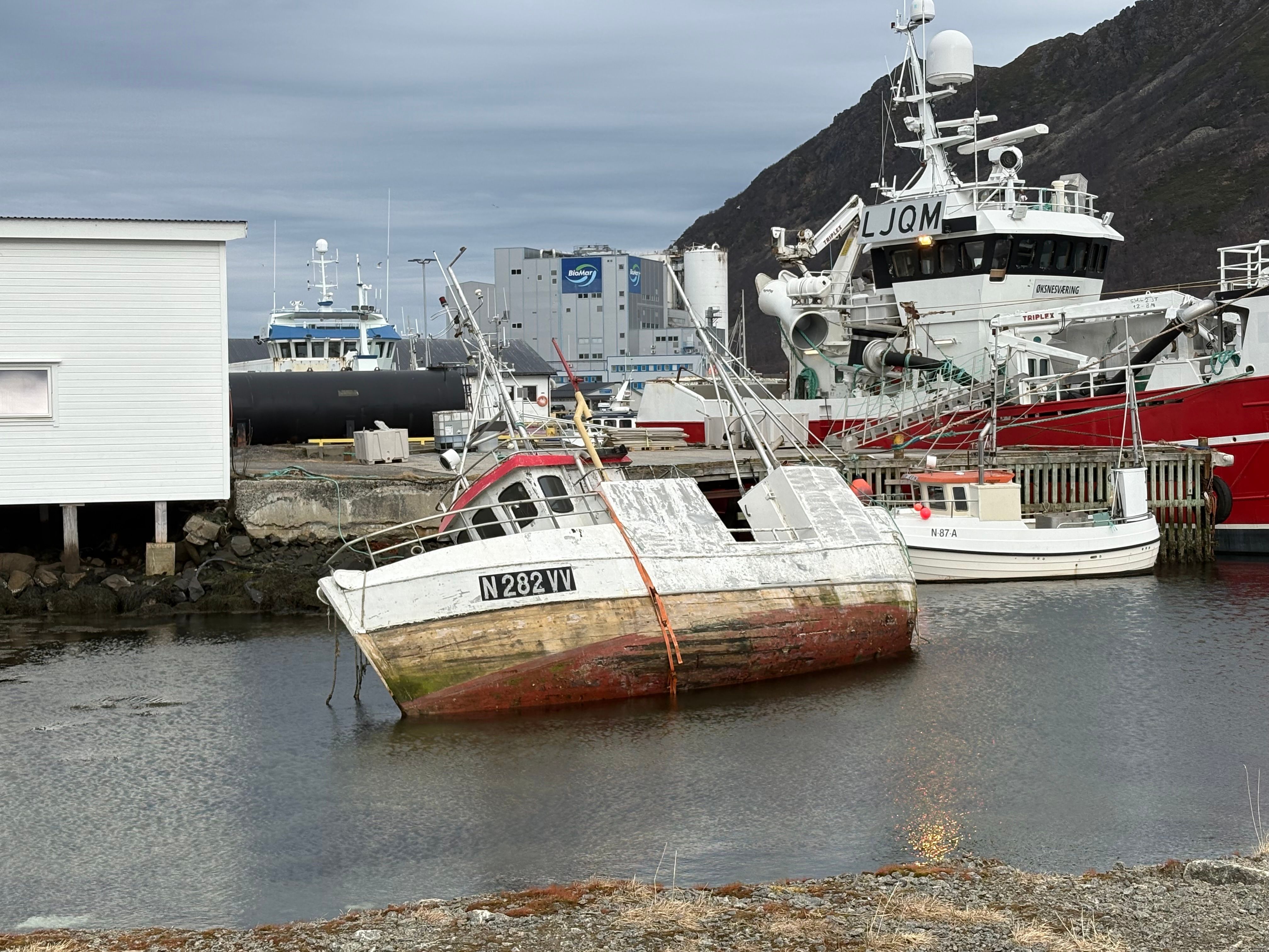 Kolmule tar helt over: Over halvparten av norsk kvote fisket ...