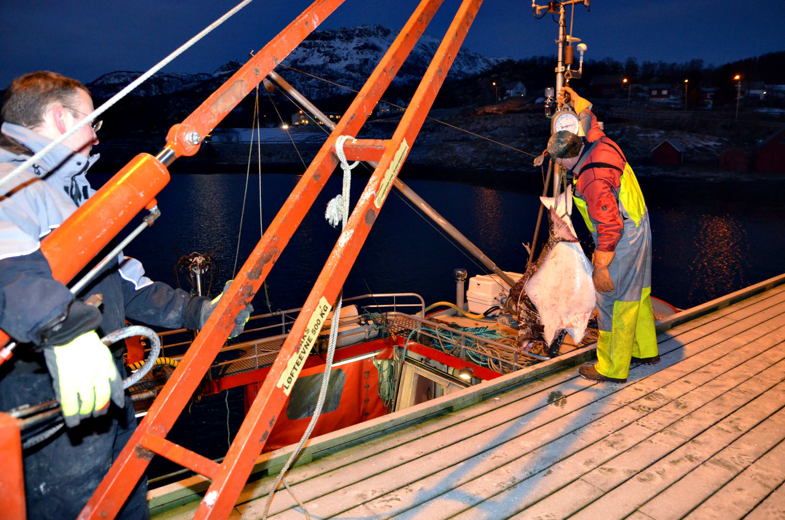 Kveita er landet - ht.no