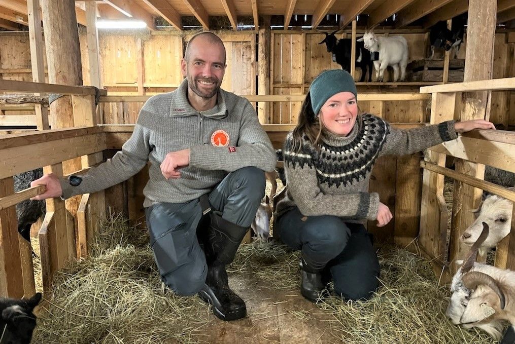 Snedig app ga nye muligheter: – Derfor kjøpte vi geiter - smp.no