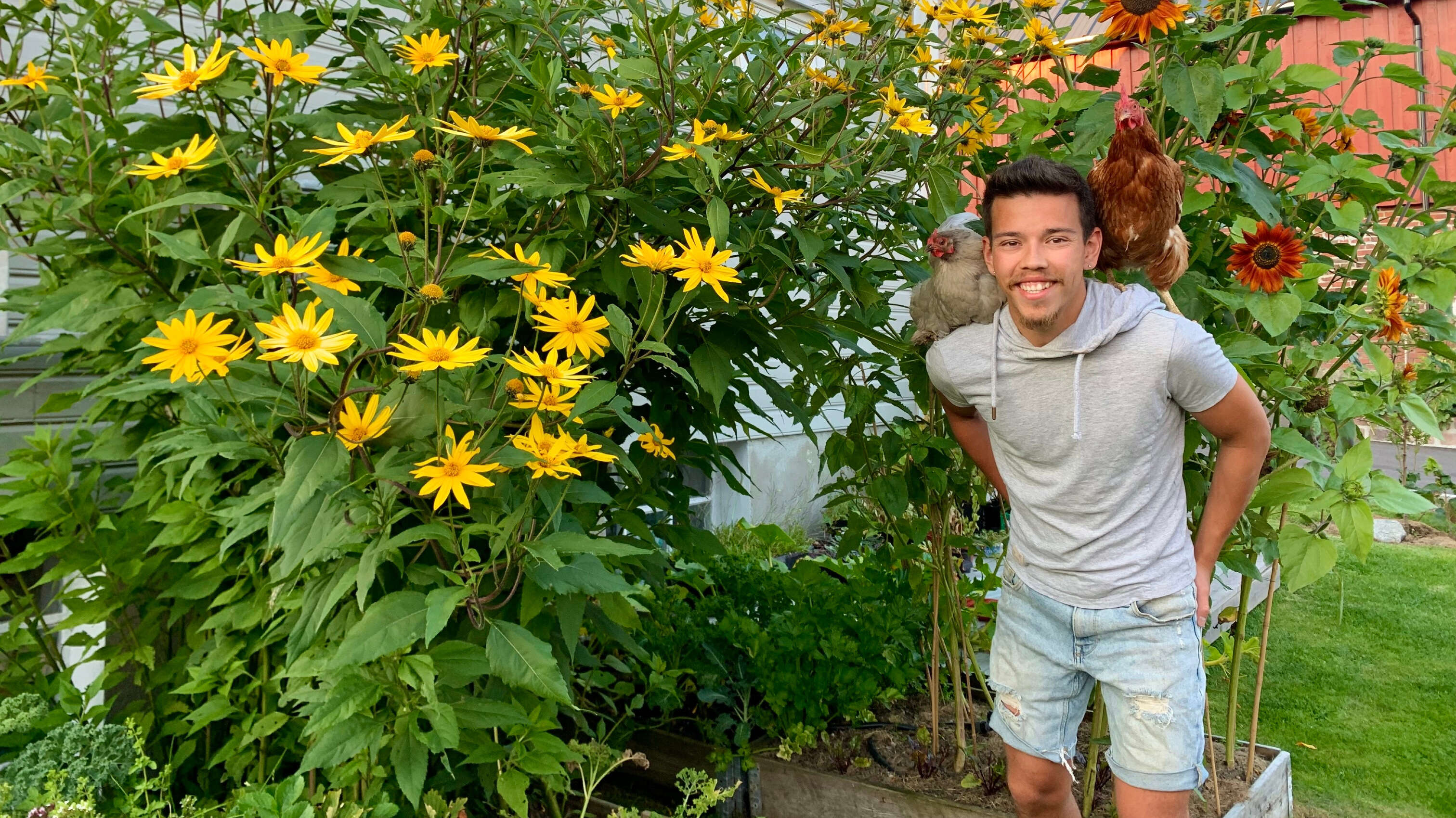 Snarveien til en spiselig hage - gat.no