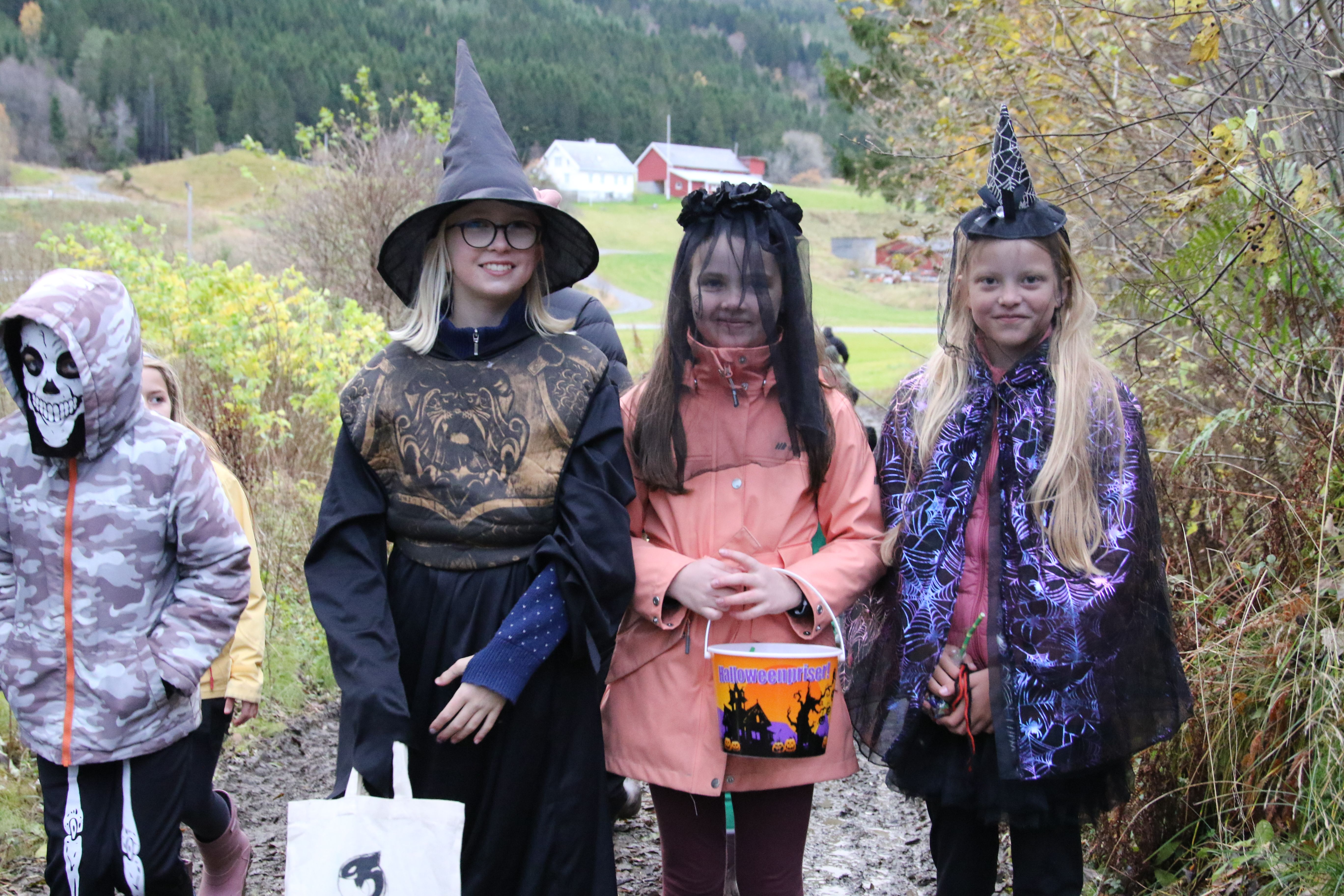 Ein ekstra skummel skog tredje året på rad - fjordabladet.no