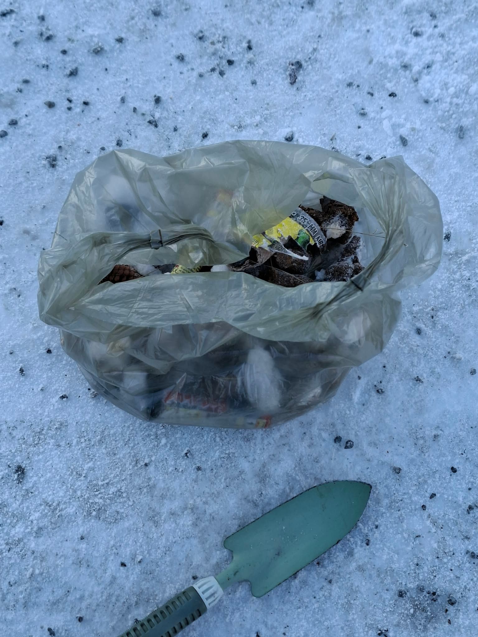 Dugnad for å rydde hundeskit: – Skammelig og flaut - avisa-st.no