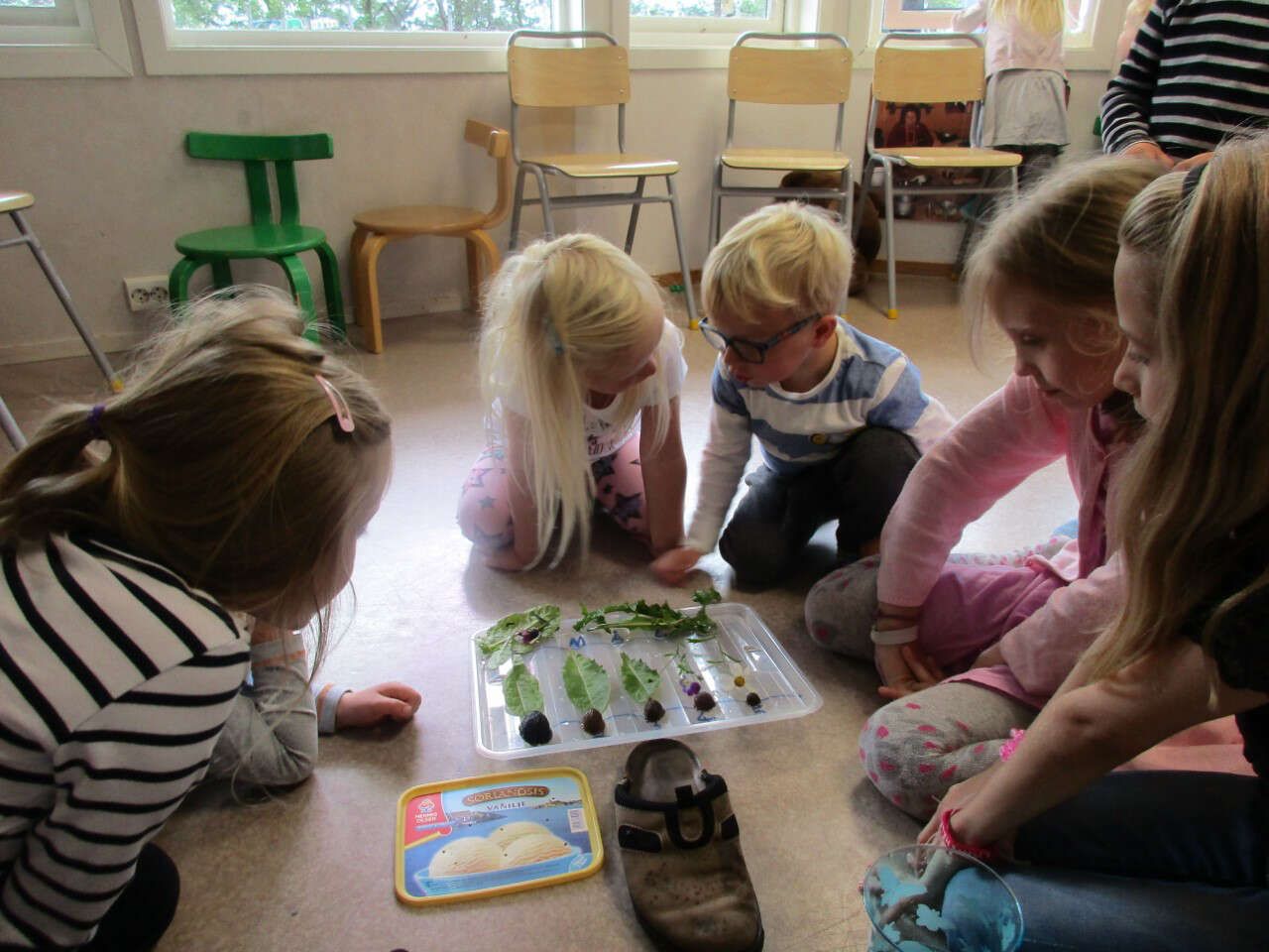 Stort snigle­engasjement i barnehagane denne veka - sunnhordland.no