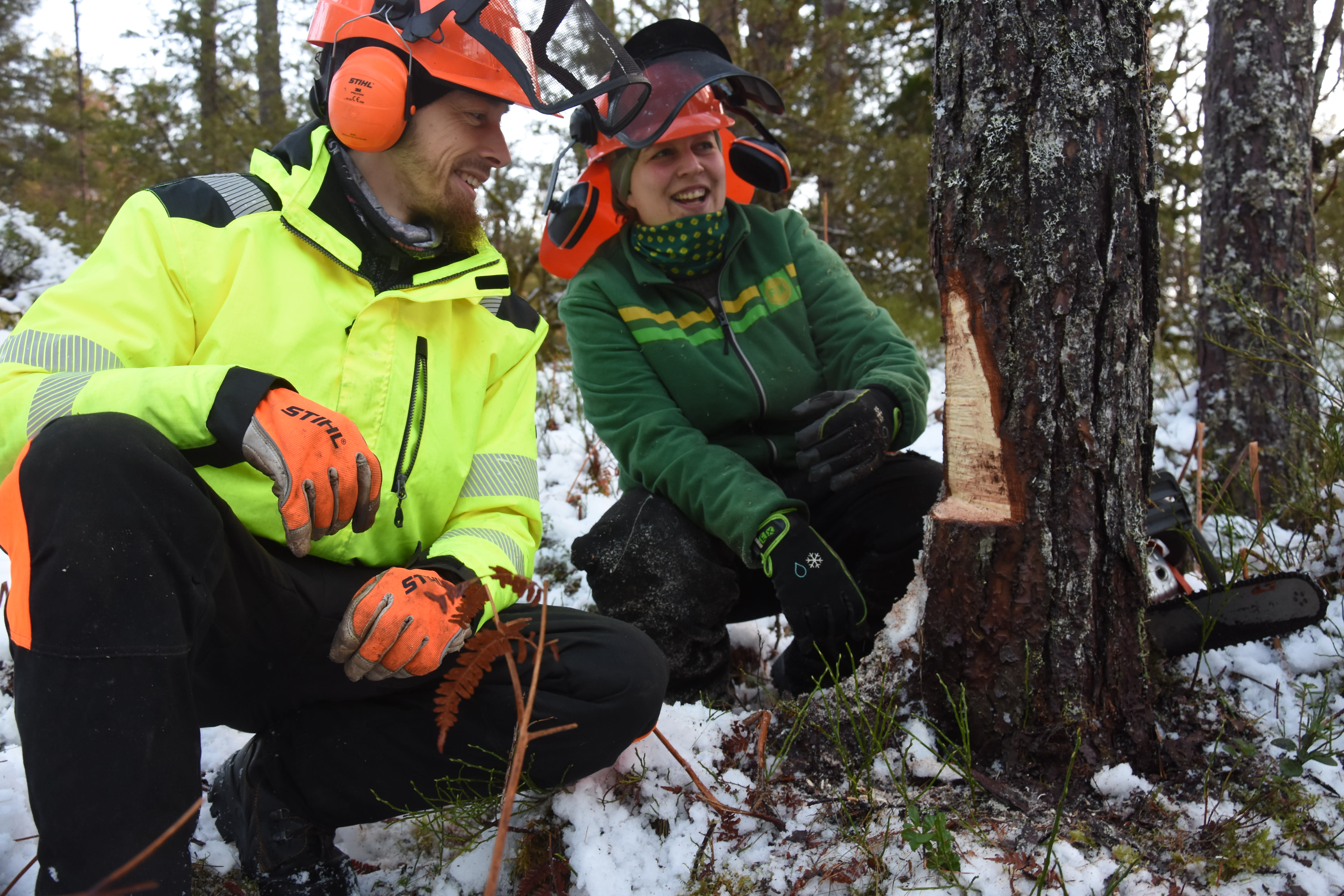 «Dei høyrer heime i sageland, i sageland…» - strilen.no