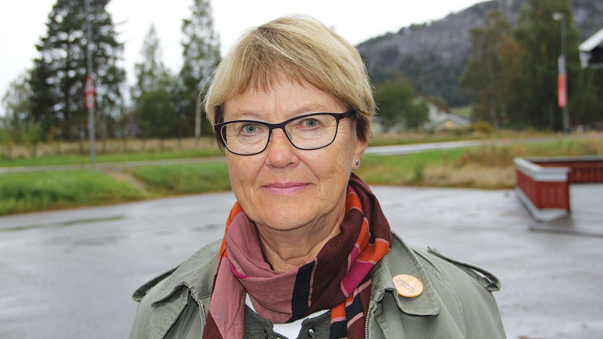 Kven sa kva til kven – og kva seier veljarane? - setesdolen.no