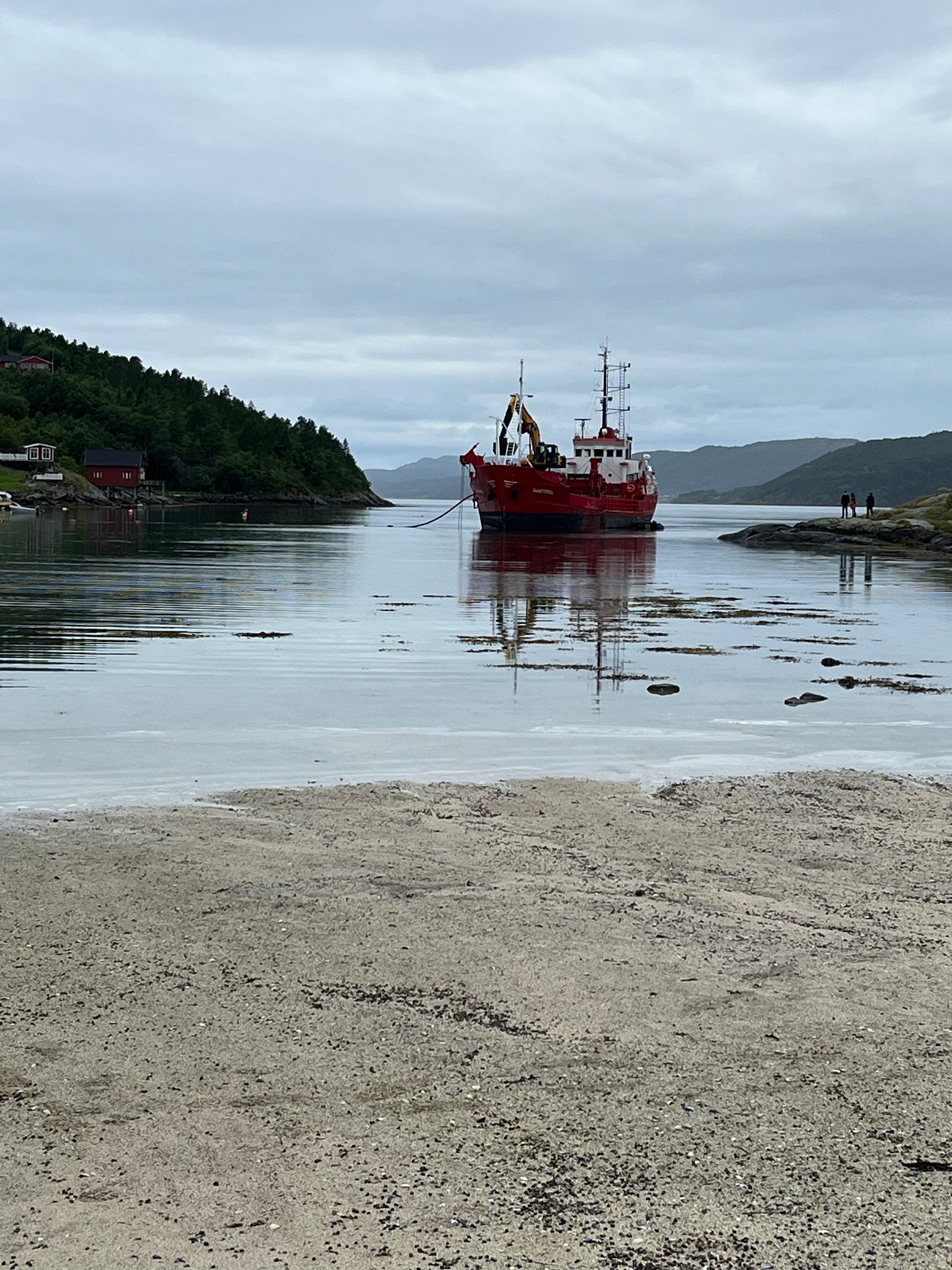 Har fått masse ny sand på stranda: – Det yrer av liv når det er fint ...