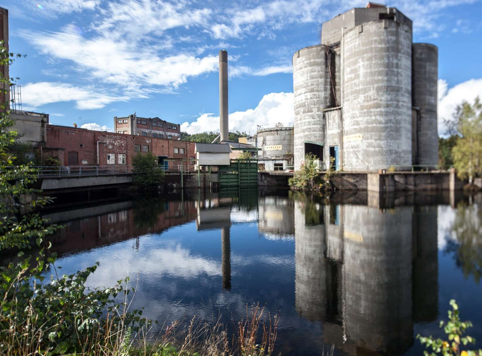 Fant skjønnhet blant rust og skitt - venneslatidende.no