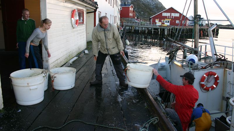 Trenger mer kai på Stø - vol.no