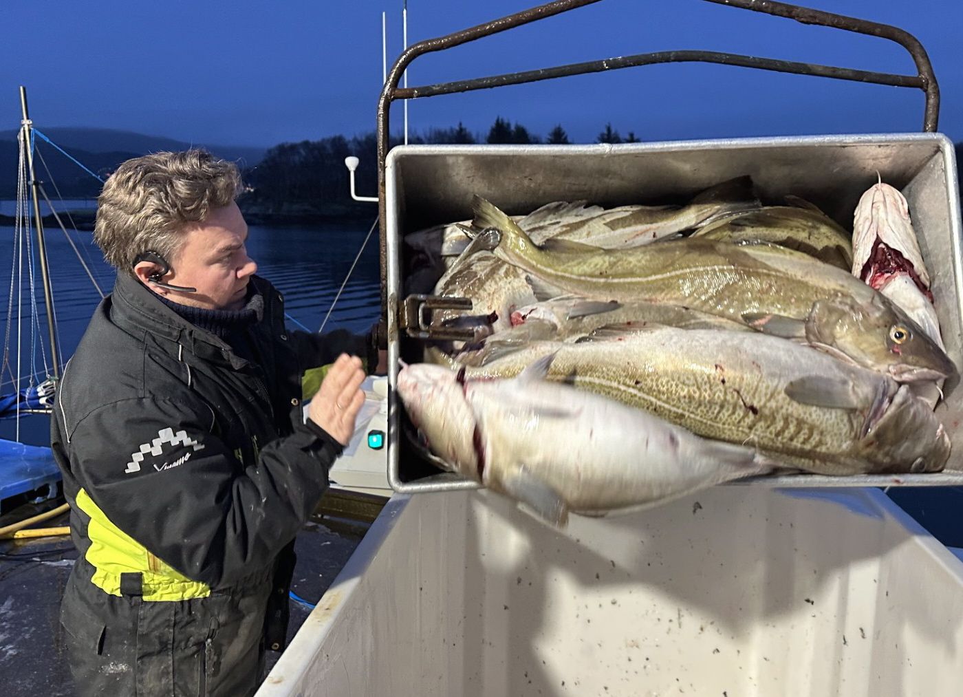 Seifisket i gang med rekord­prisar - smp.no