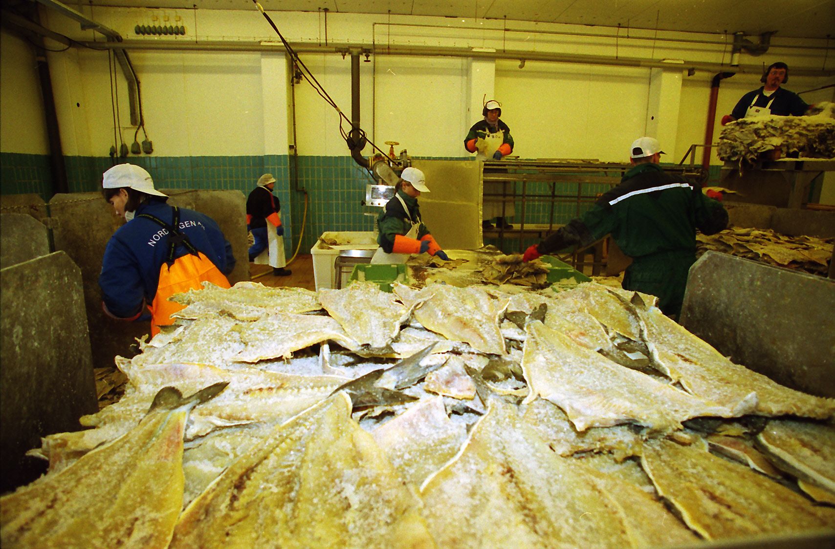 Hvitest saltfisk fra råstoff med hode - kystogfjord.no