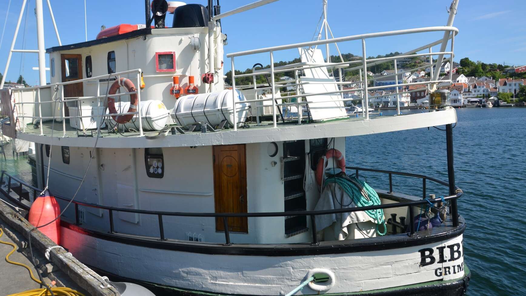 Slik ser populære Bibben ut nå: - Det er tragisk - gat.no