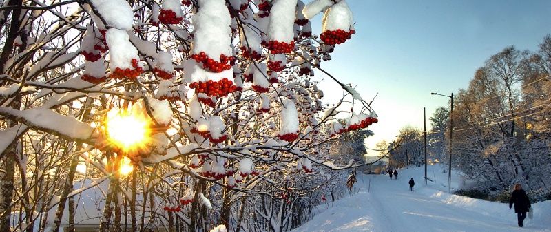 Mandag kommer snøen - ht.no Mandag kommer snøen - ht.no