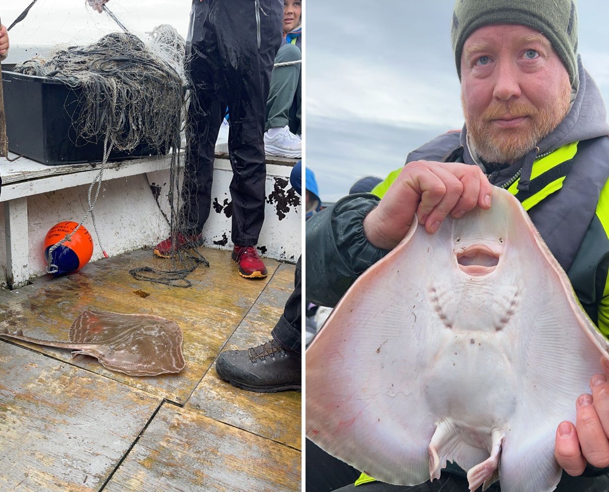 Det Lars-Ivar drog opp, har ingen andre sett i Noreg før - vestnytt.no