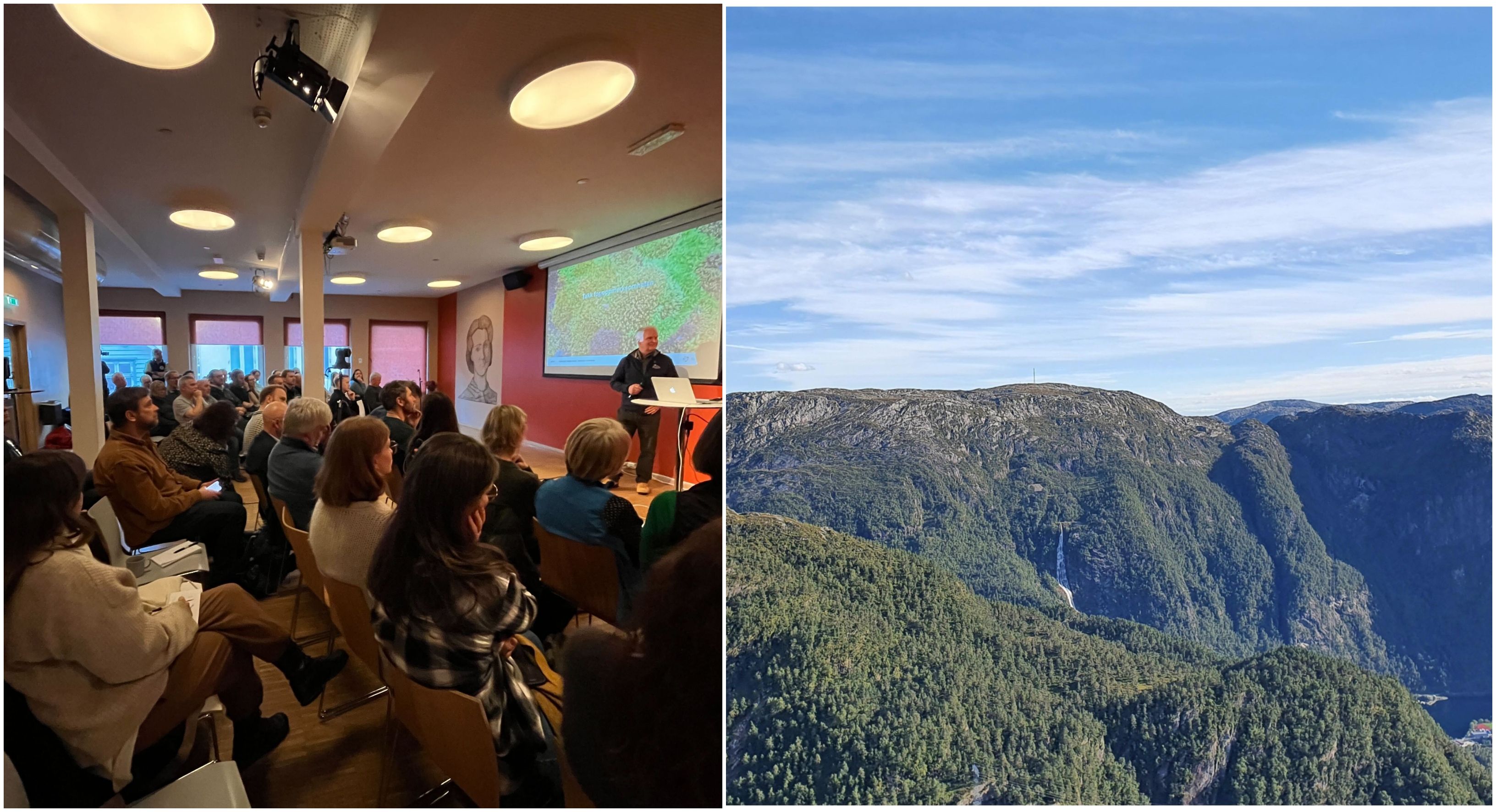 Fann 35 raudlista arter i planlagt vindkraftområde - strilen.no