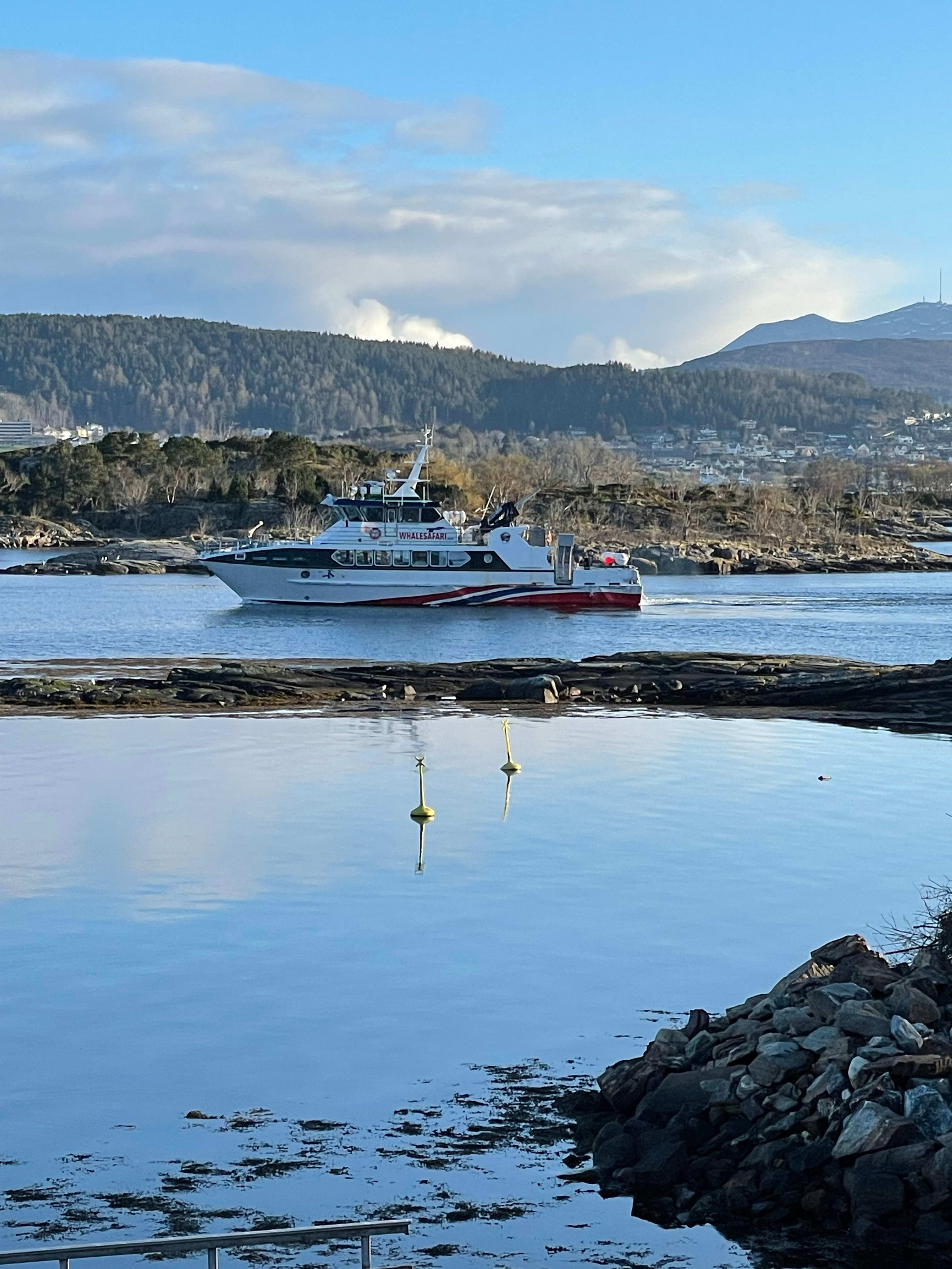 Fra hvalsafari til Hjørundfjorden - aesby.no
