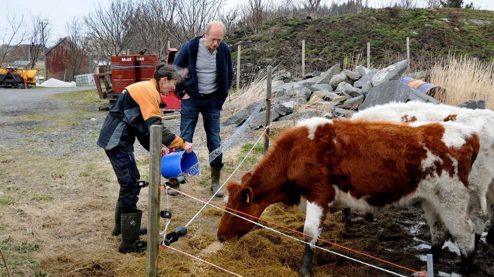 Odd Arve si historie - rbnett.no