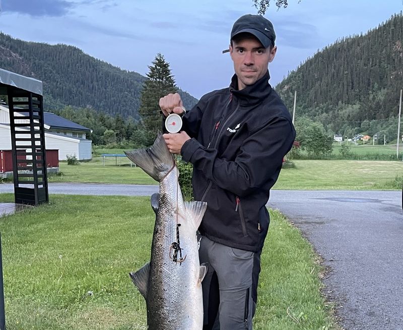 Har passert 200 laks i Gaula: Ny toppnotering da Peder dro laks på 15 ...