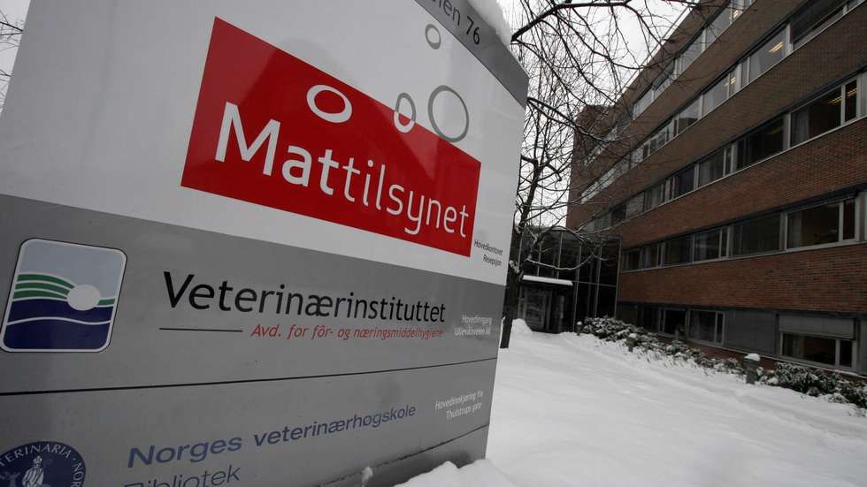 Mattilsynet fornøyd med politiets dyrevelferdssatsing - smp.no