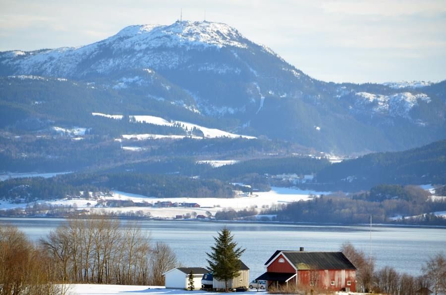 Det går mot grønne omgivelser - s-n.no