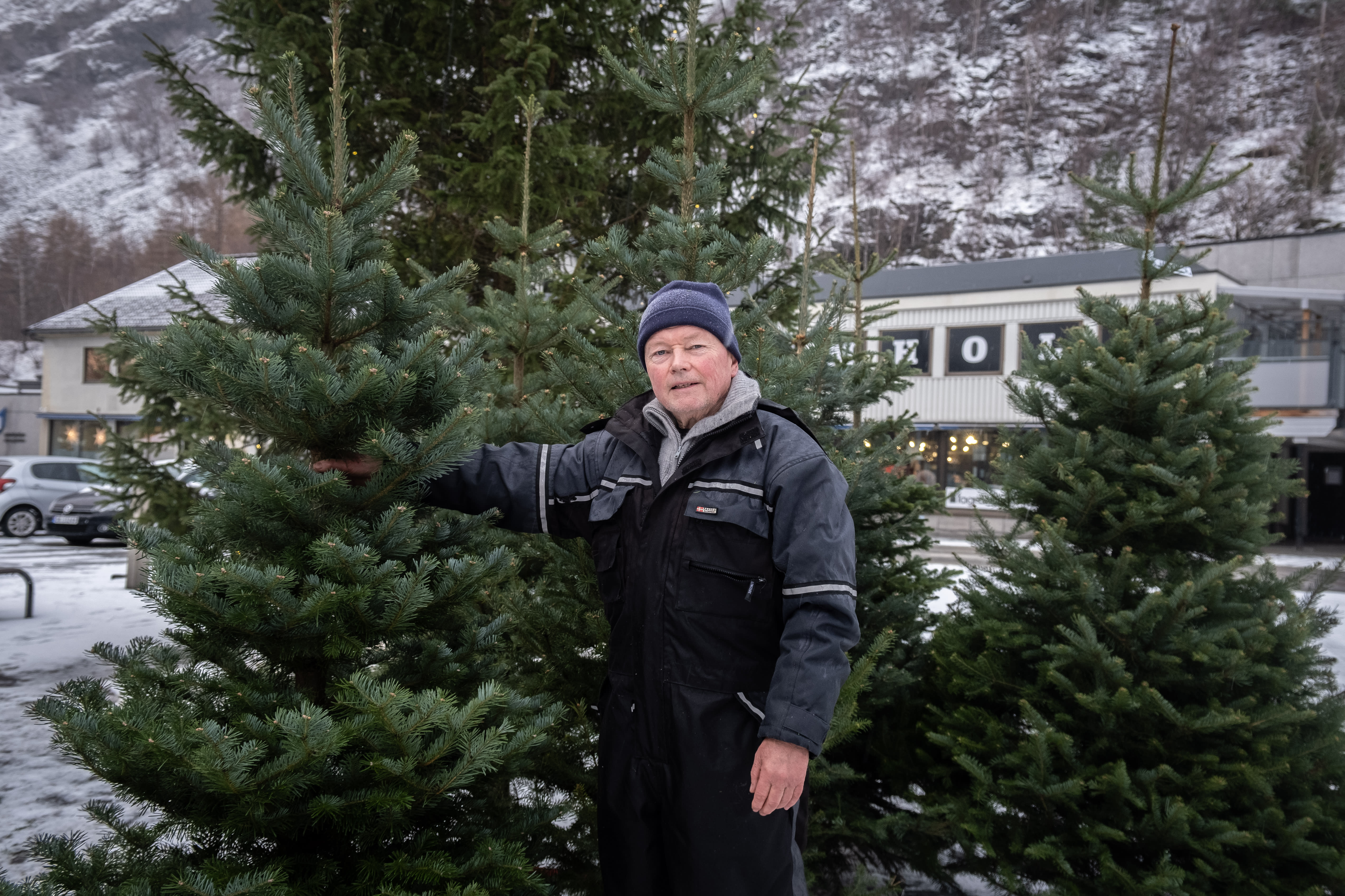 Salet av juletre har vore stabilt - porten.no