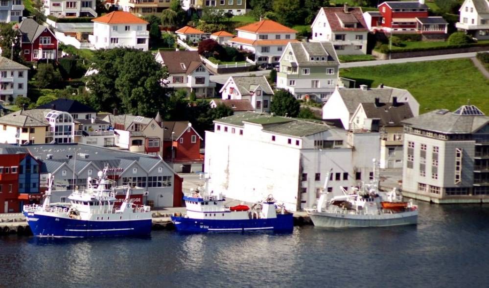 To firma interesserte i Domstein-buda - fjt.no