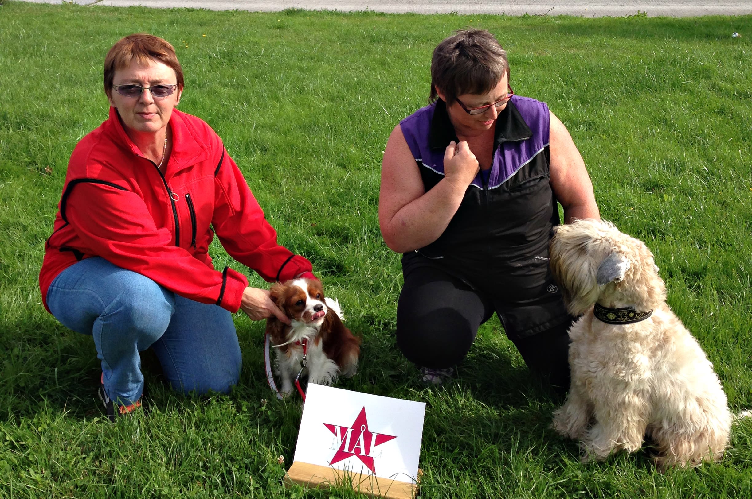 Sjekka kven som har best kontroll - fjt.no