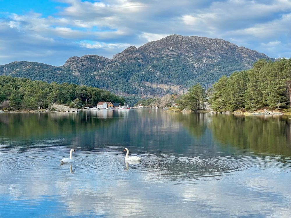 Svanesjøen vert isfri også den komande veka - bomlo-nytt.no Svanesjøen vert isfri også den komande veka - bomlo-nytt.no