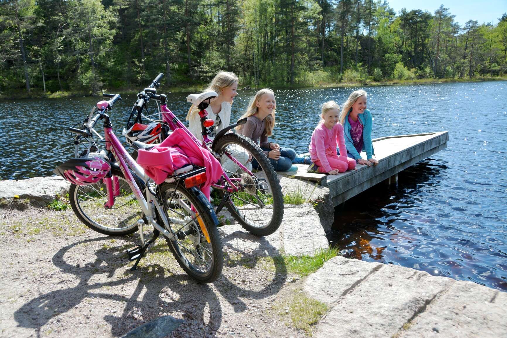 Gjennom skogen i grenseland - gat.no