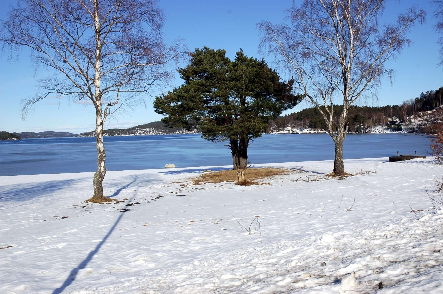 Varsler den kaldeste vinteren på fem år - agderposten.no