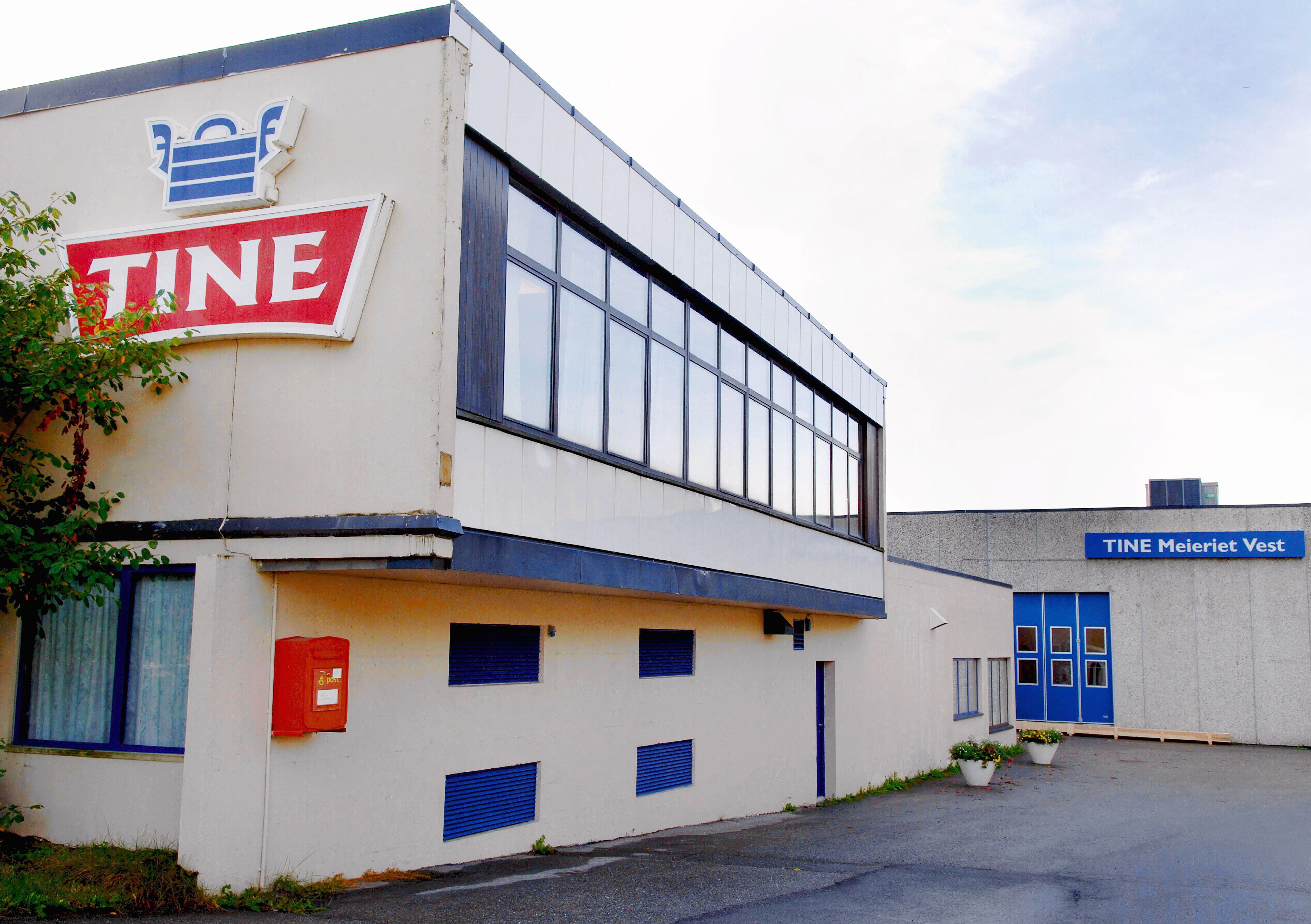 Tine leitar etter ny meieri-sjef - smp.no