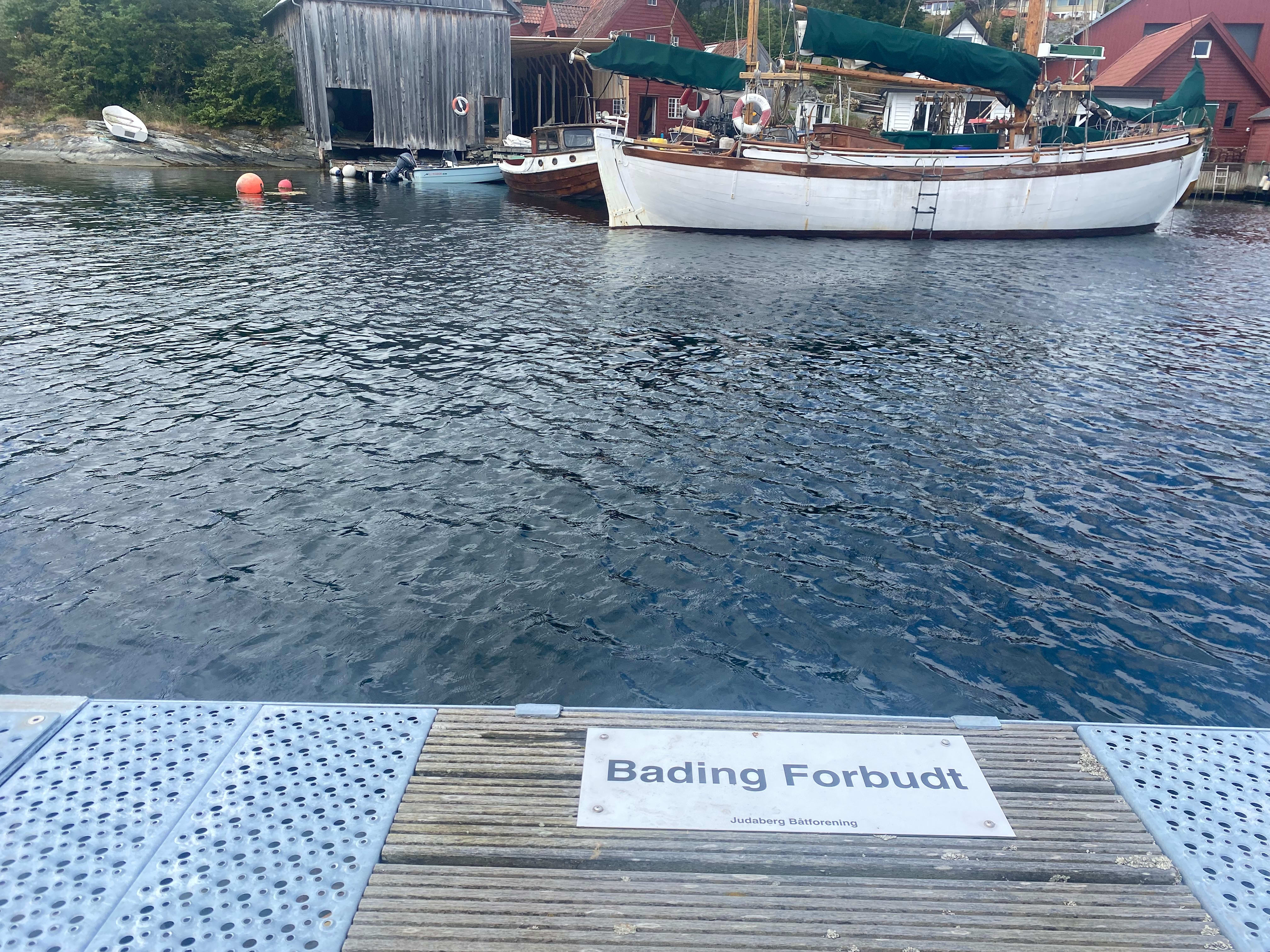 Lei av alle som trassar badeforbodet i båthamna