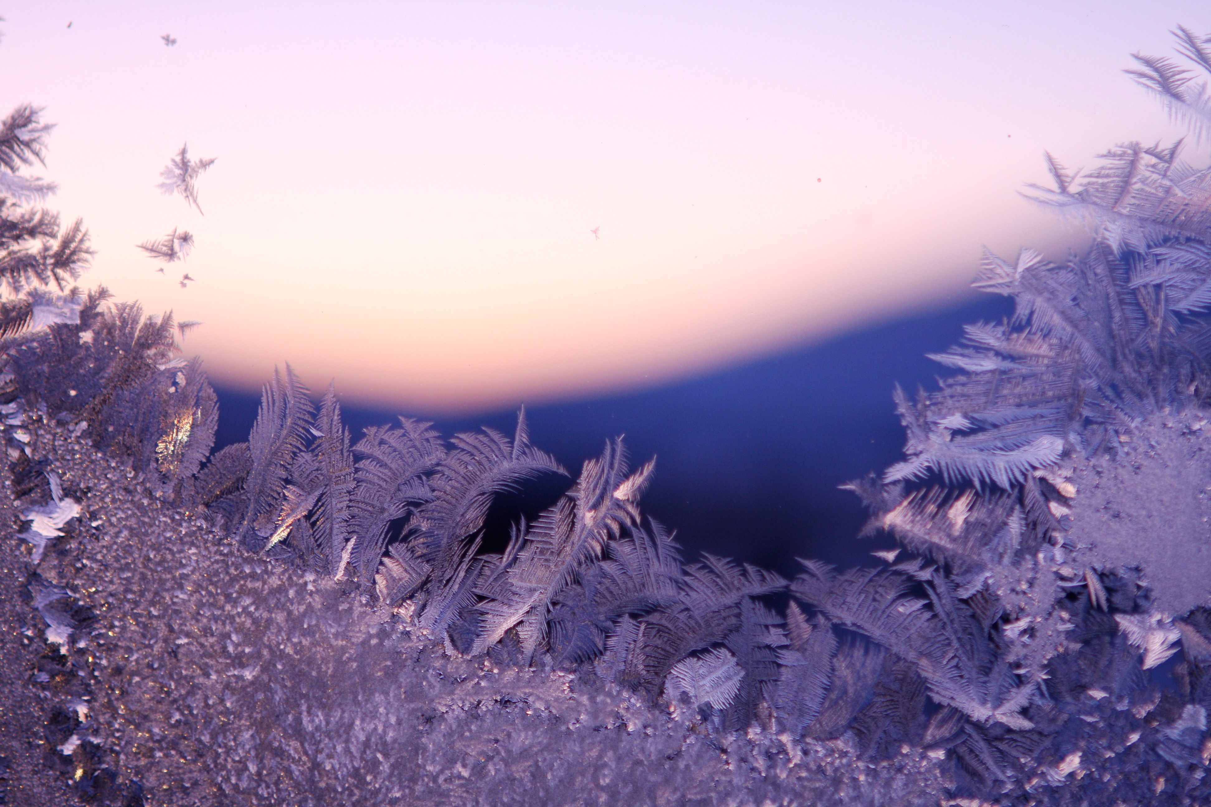 Statsmeteorologen: – Nattefrost i vente - dolen.no
