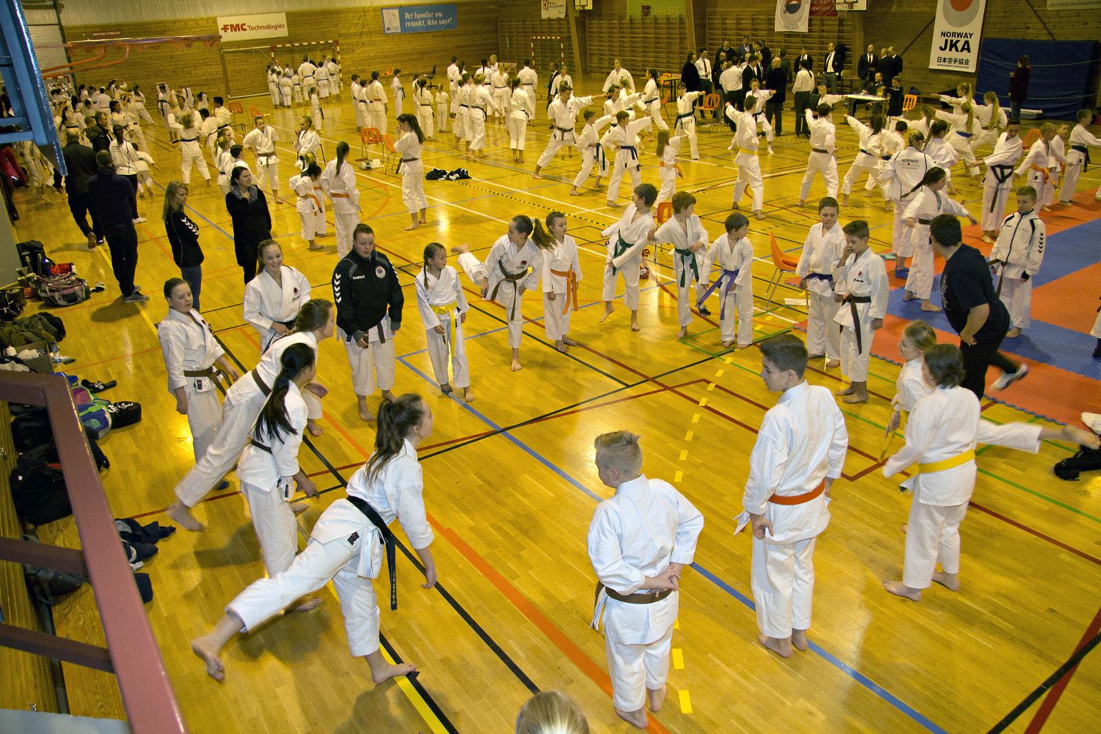 Vellykket karate-cup - vestnytt.no