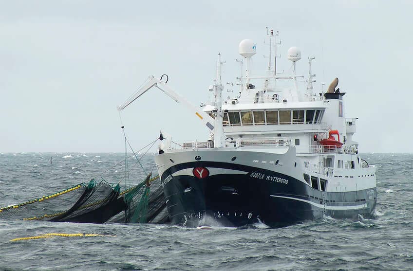 782 066 tonn makrell - kystogfjord.no