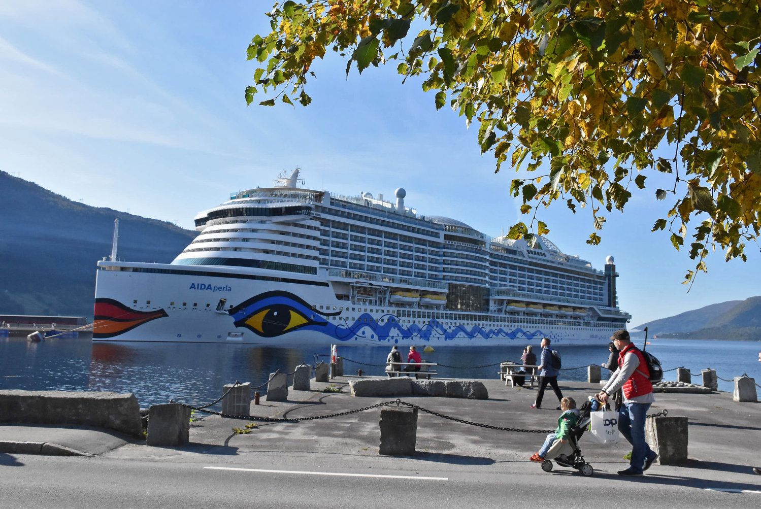 Får millionbeløp til å forske på lokal medverknad og teknologival - fjt.no