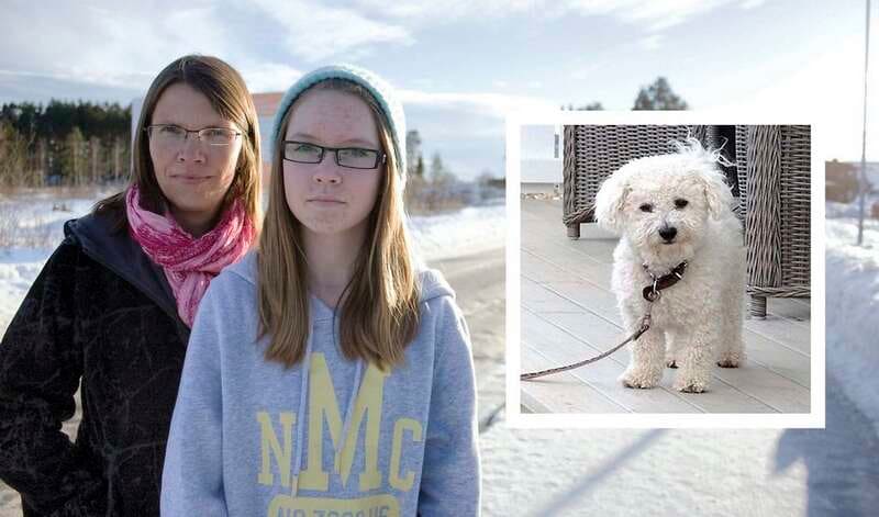 Kjørte på hund og stakk - agderposten.no