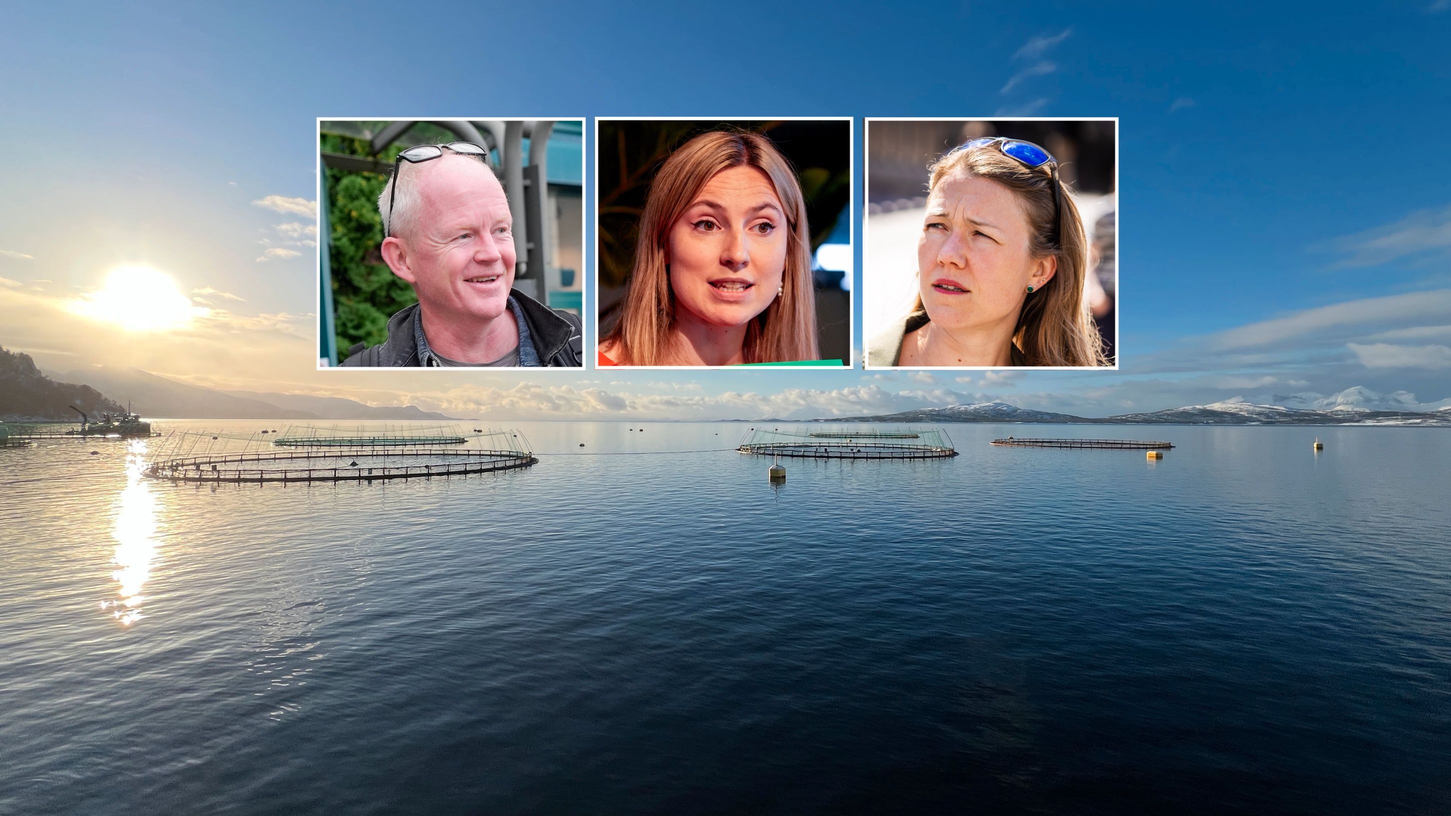 Fremtidig oppdrett — dette sier partiene som Ap må forhandle med i høst ...